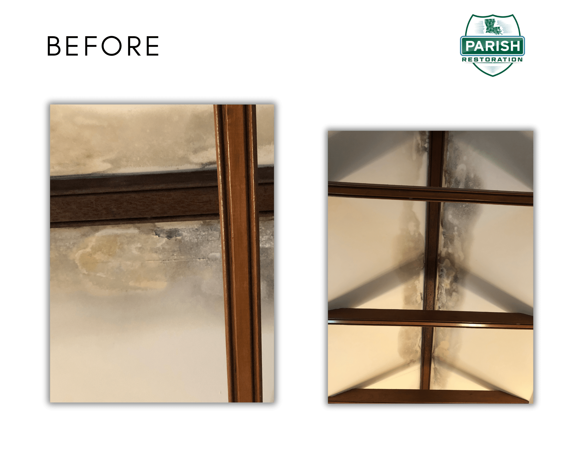 Mold Remediation in Baton Rouge | Inspection and Removal Experts